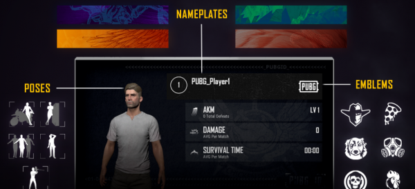Nameplates, emblems & poses discovered in the test game client